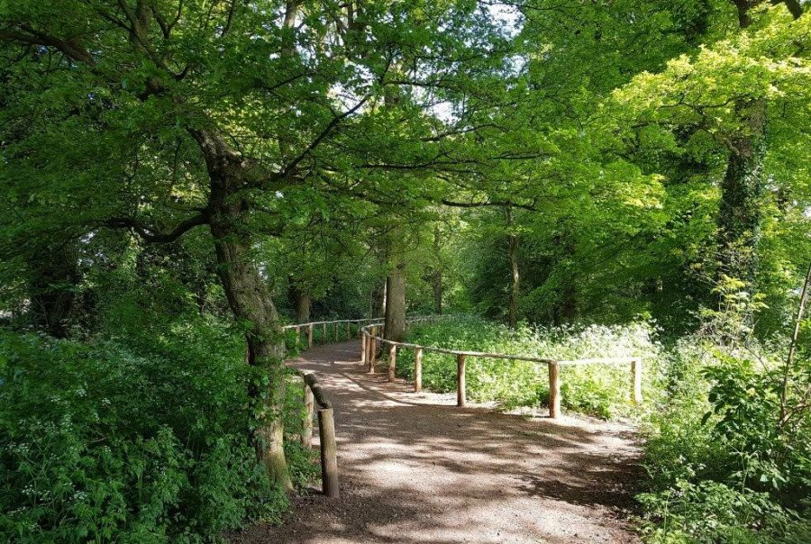 Our Parks - Bromley Parks