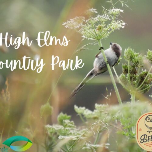 BEECHE Bromley Environmental Educational Centre High Elms - Bromley Parks
