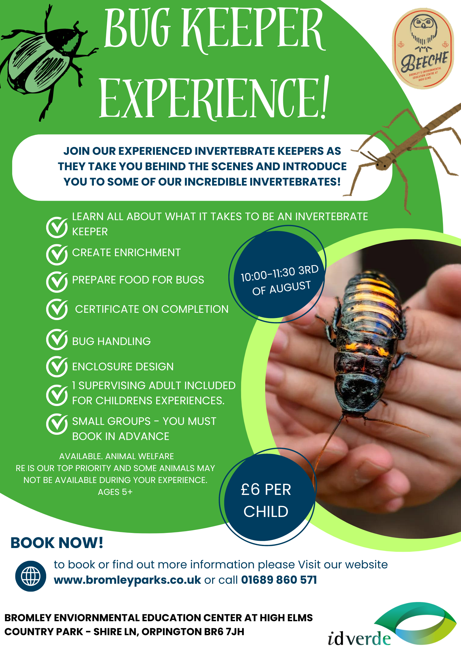 Bug Keeping Experience - Bromley Parks